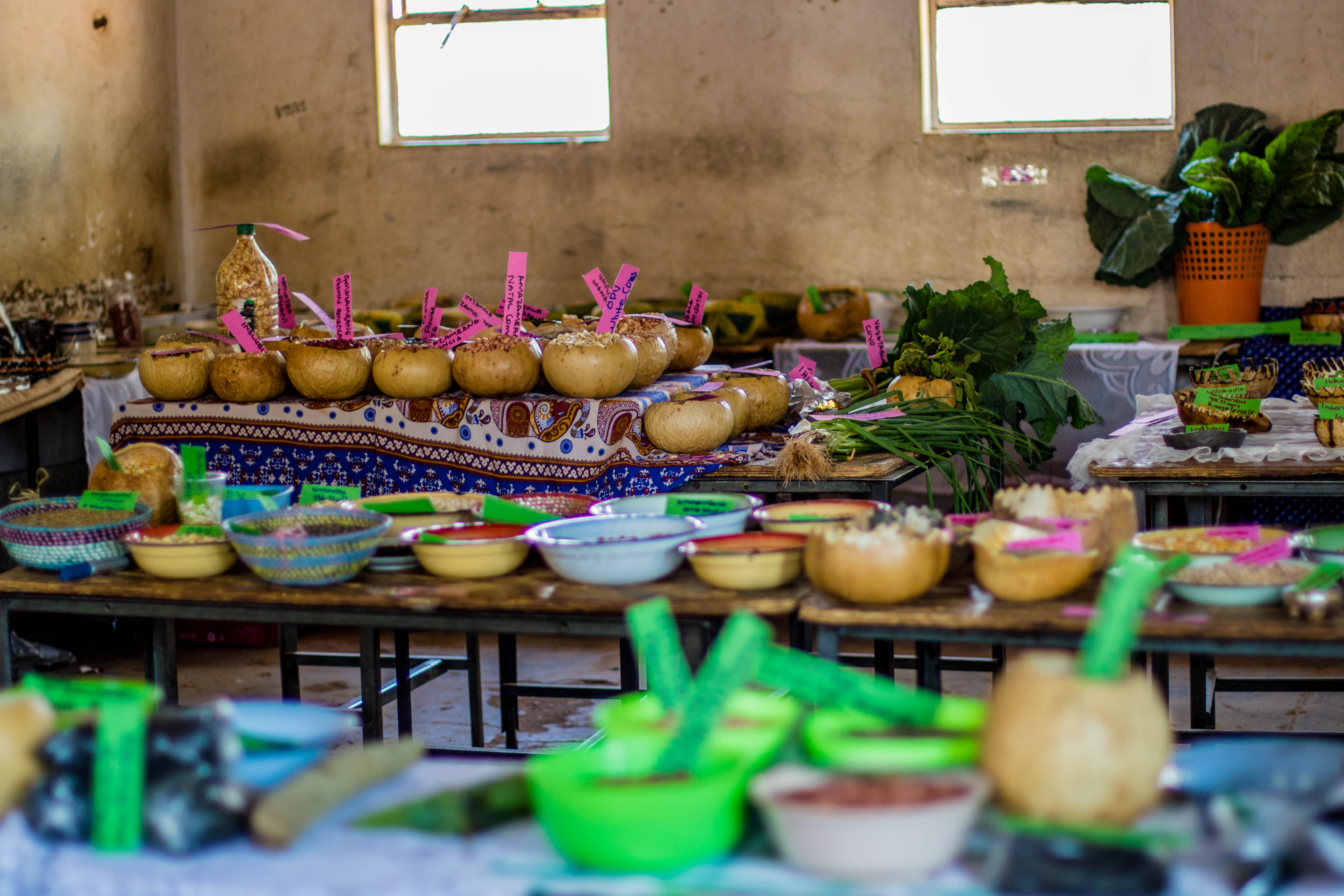 Our Scope of Work || iGugu Trust